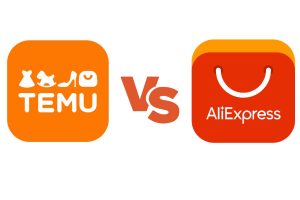 [2025 Proven] Full Guide to Dropshipping with Temu