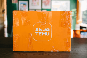 [2025 Proven] Full Guide to Dropshipping with Temu